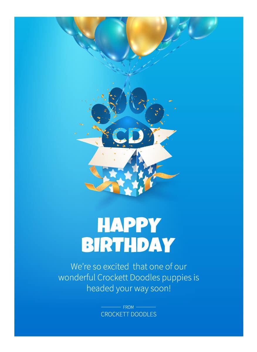 Gift Certificates - The Perfect Gift — Crockett Doodles