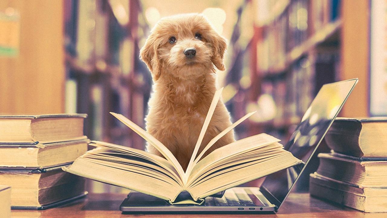 30+ Helpful Doodle Vocabulary Terms — Crockett Doodles