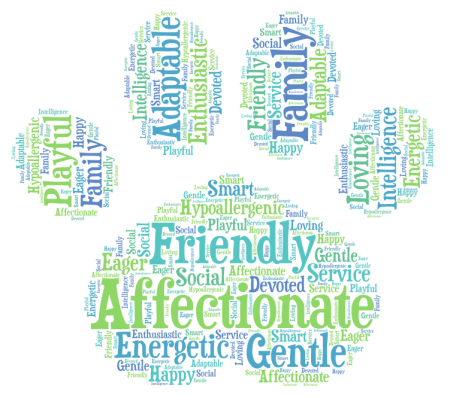 Gorgeous Labradoodle Puppies | Healthy & Happy Labradoodles