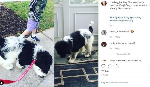 Evidence — Crockett Doodles