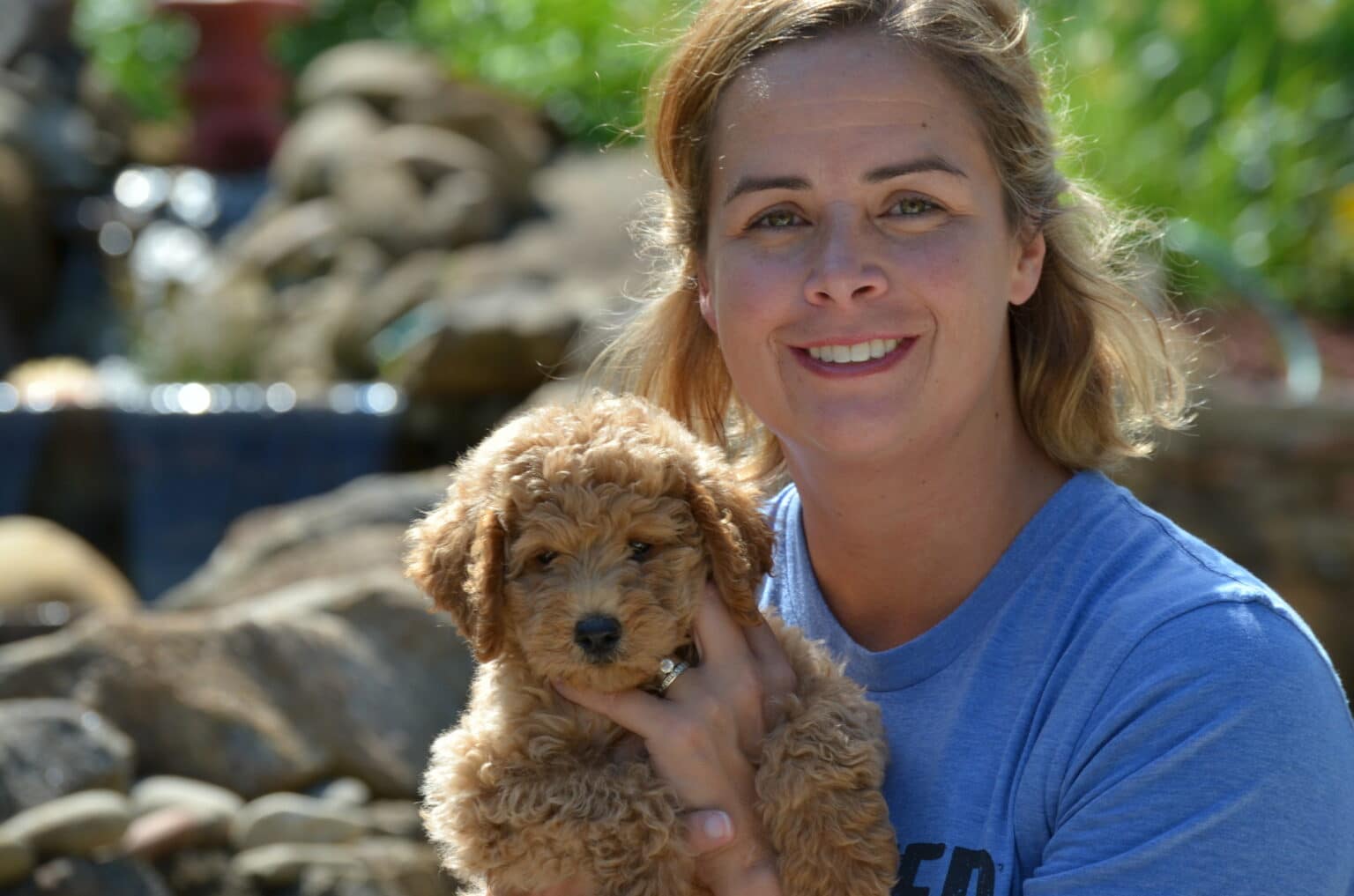 Socializing Your Puppy — Crockett Doodles