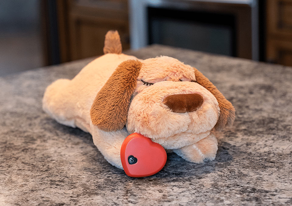 Cuddle Buddy — Crockett Doodles