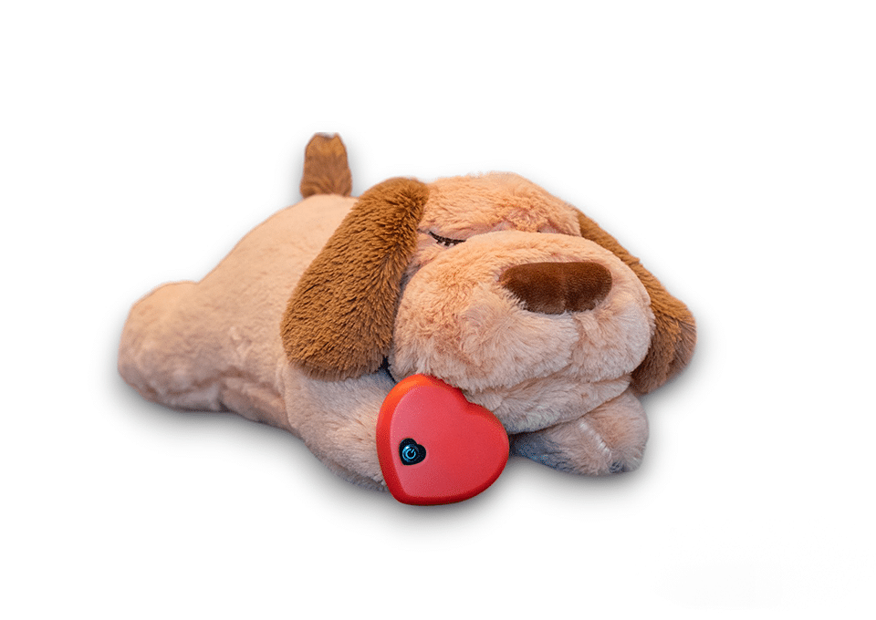 Cuddle Buddy — Crockett Doodles